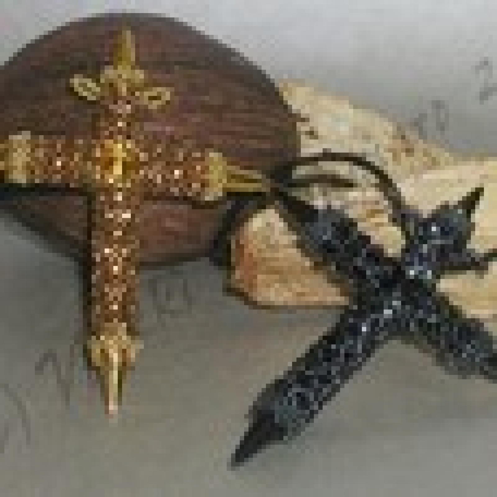 TUTORIAL Dark Shadow Cross Pendant with Golden Shadow Color-way | Mikki ...